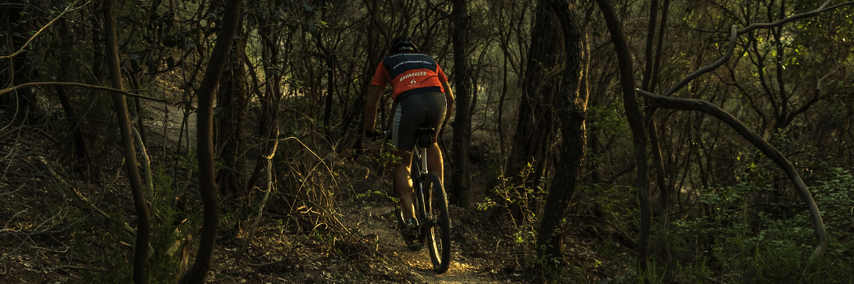 Summer Wrap-up - American Rail Bike Adventures